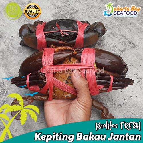 Jual kepiting bakau Daging Jantan PADAT/Kepiting Jantan Hidup 500gr ...