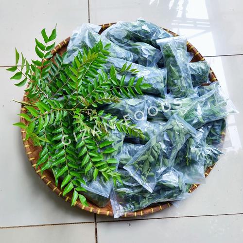 Jual Daun Kari Salam Koja Temurui Segar Kering Wild Curry Leaves 1 ...