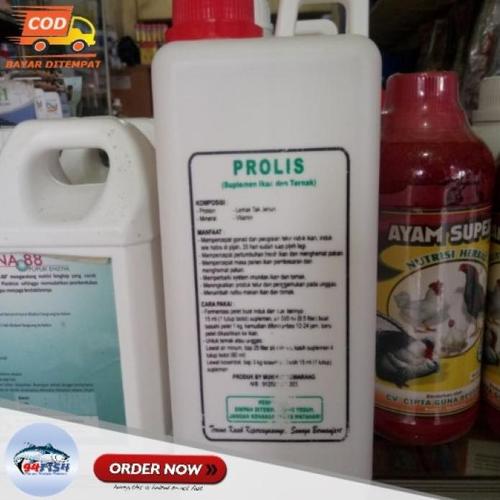 Jual PROLIS Suplemen Ikan dan Ternak Yang Paling Efektif 1 Liter ...