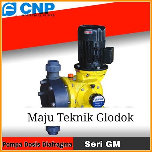 Jual Dosing Pump 120 LPH Dosing Pump CNP GM0120 Pompa Kimia GM 0120 ...