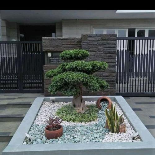 Jual taman bonsai batu kecil - Jakarta Barat - suster taman | Tokopedia