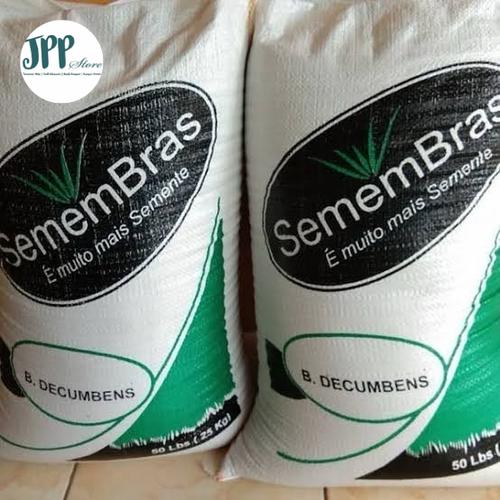 Jual Benih rumput Brachiaria Decumbens signal grass - rumput pakan ...