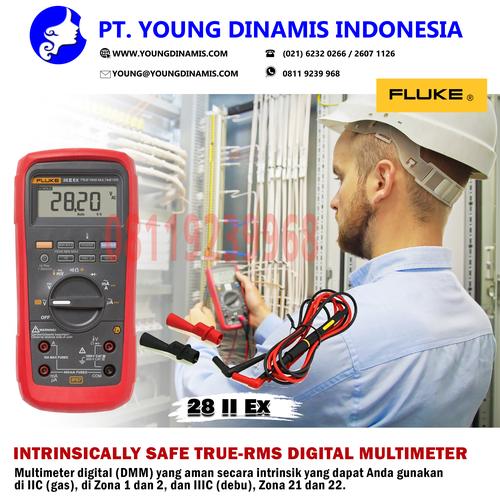 Jual Intrinsically Safe True RMS Digital Multimeter Fluke 28 II Ex ...