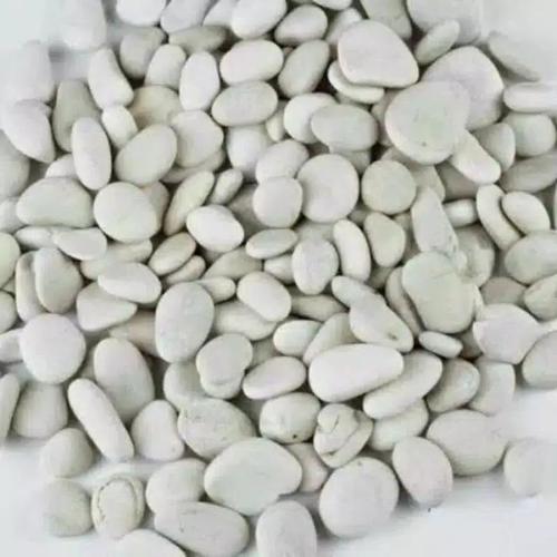 Jual BATU PUTIH GADING 1000 GRAM - Kota Medan - SELARAS ALAM 07 | Tokopedia