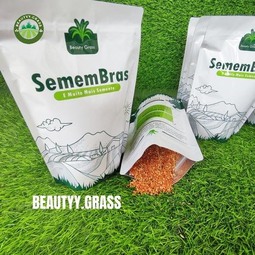Jual GRASS SEED BRACHIARIA HUMIDICOLA / Biji rumput penghijauan ...