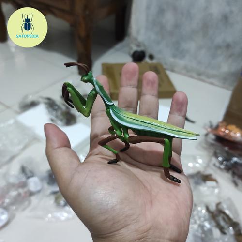 Jual belalang sembah congcorang mantis mainan figure - Kab. Cianjur ...