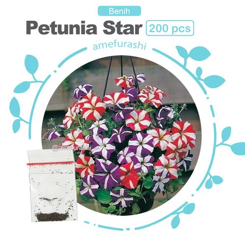 Jual Bibit / Benih / Seeds Petunia Star Mixed Flower - petunia star200 ...