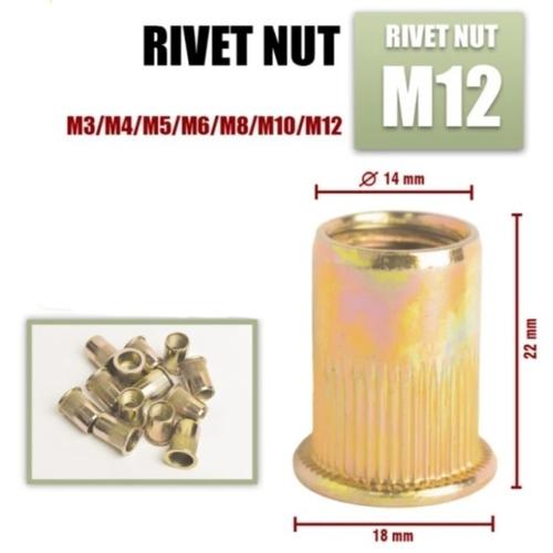 Jual Rivet Nut Rivnut Flat Nut M3 M4 M5 M6 M8 M10 M12 - M12 - Jakarta ...