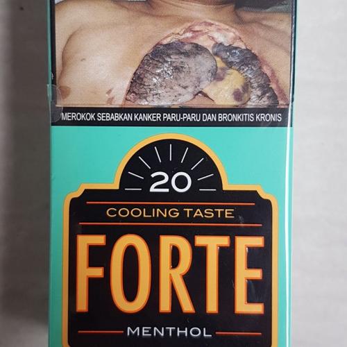 Jual Rokok Forte Menthol 20 - Jakarta Barat - anekarokok | Tokopedia