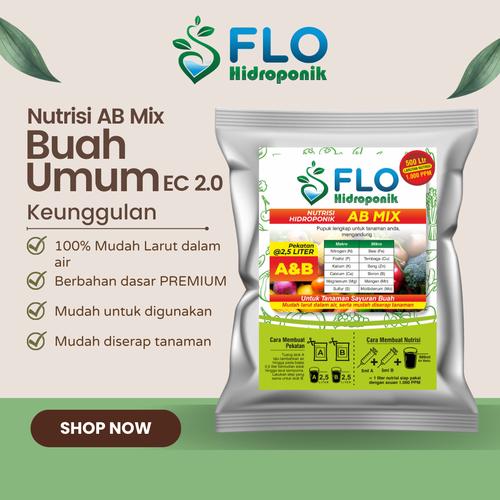 Jual Nutrisi AB Mix Buah Umum 500 Liter Flo Hidroponik - Kota Tangerang ...