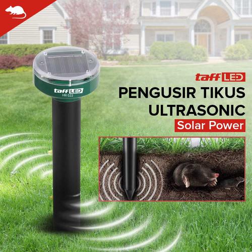 Jual Alat Ultrasonic Pembasmi Pengusir Tikus Di Sawah Pertanian Kebun ...