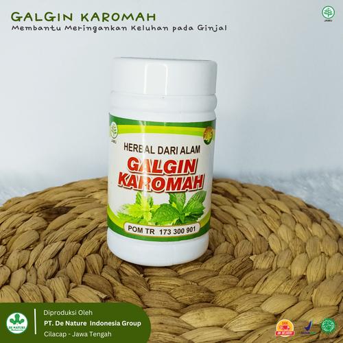 Jual Obat Untuk Sindrom Nefrotik, Kelainan Ginjal, Ginjal Bengkak Tanpa ...