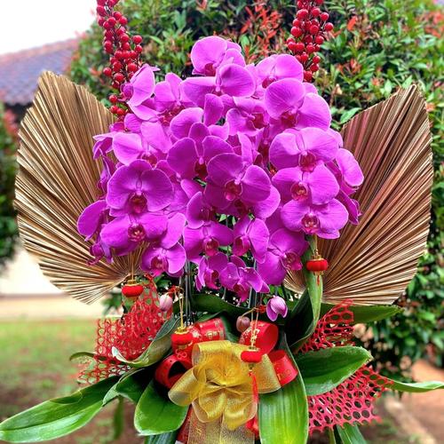 Jual Hampers Rangkaian Anggrek Bulan Special Imlek - 15 Rangkaian ...