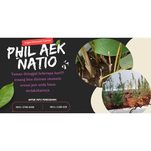 Jual PENYIRAM TANAMAN OTOMATIS JENIS DRIP - PAKET 5 POT BESERTA ...