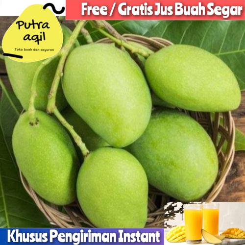 Jual Buah Mangga Muda Rujak Rujakan Asem Asam Mentah Segar Lokal 500gr Murah 5kg Jakarta