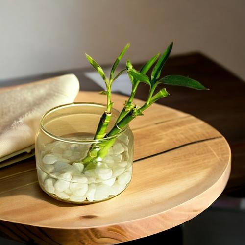 Jual VAS BUNGA KACA MINIMALIS AESTHETIC / POT KACA HIDROPONIK TERARIUM ...