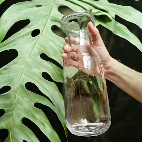 Jual Vas Kaca Bening Tinggi Bunga Sedap Malam Mawar Hidroponik ...