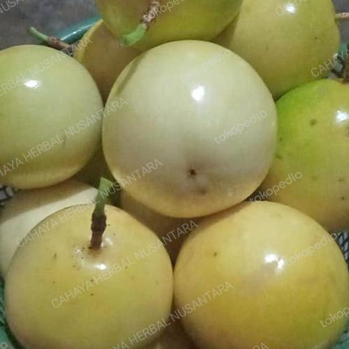 Jual Buah Markisa Kuning Segar Fress per 1 kg - Kab. Bandung - CAHAYA ...