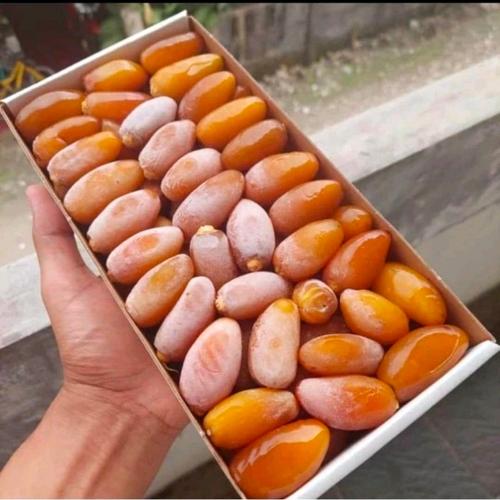Jual Kurma Rutob Libya 1 Kg / Ruthob Libia / fresh - Kota Depok ...