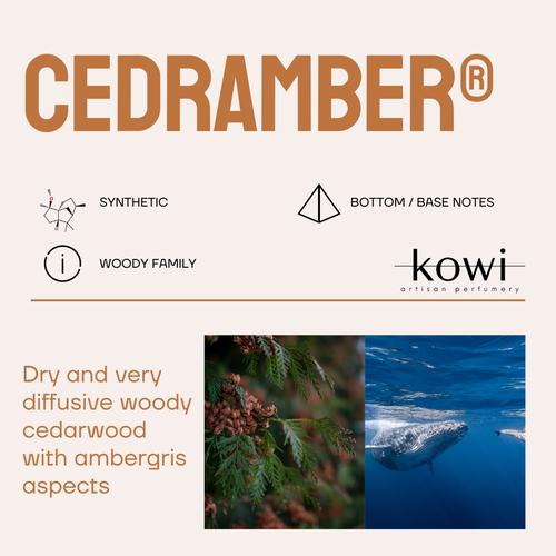 Jual CEDRAMBER / CEDARWOOD AMBER aroma ingredient - 10 gr - Jakarta ...