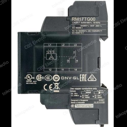 Jual Schneider Relay Kontrol Fasa 1C/O RM17TG00 / 2C/O RM17TG20 208 ...