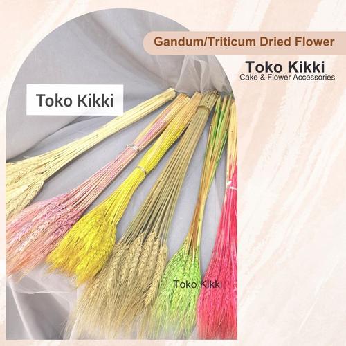 Jual bunga gandum kering | Dried Flower - Natural - Jakarta Barat ...