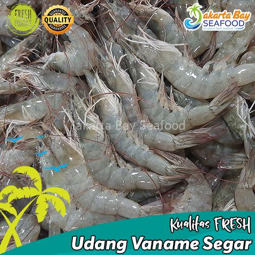 Jual udang vaname fresh/Udang Segar Vannamei Tambak/Udang Tambak Vaname ...