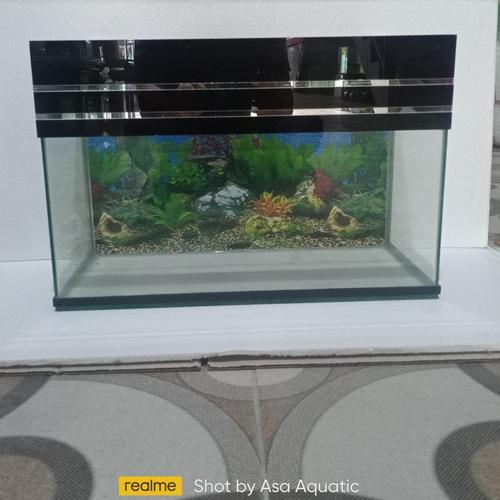 Jual Aquarium kaca minimalis 50 60 cm - 50cm list, tanpa tambahan ...