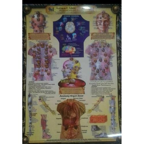 Jual Poster 9 in 1 Mengenal Titik Bekam - Jakarta Timur - Rahmat Medica ...