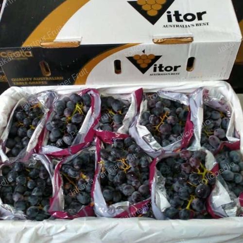 Jual Anggur Midnight Beauty Tanpa Biji 9 Kg / Box - Jakarta Barat ...