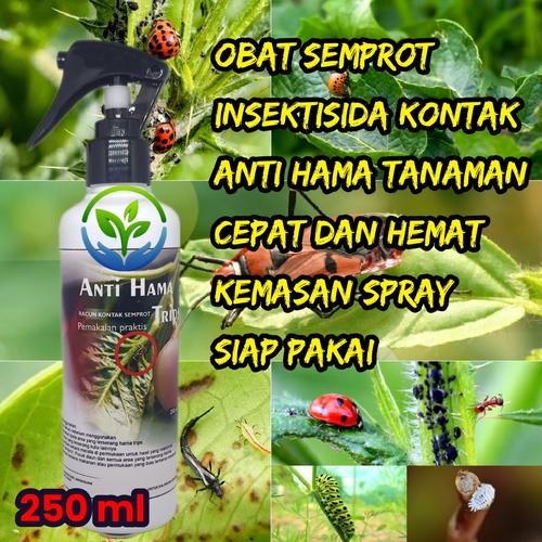 Promo Obat Hama Tanaman Insektisida Kontak Efektif Basmi Segala Jenis ...