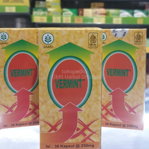 Jual Vermint 30 kapsul Cacing Lumbricus Rubellus untuk Demam, Thypus ...