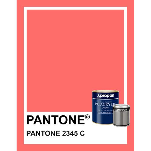 Jual CAT PROPAN PU ACRYLIC - PANTONE 2345 C - 1 LITER, SATIN - Jakarta ...