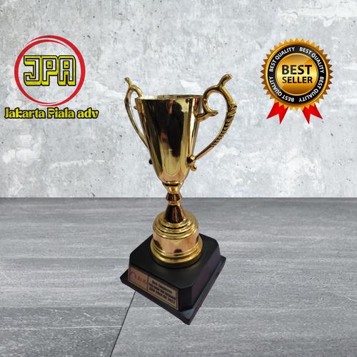 Jual Trophy Timah I Trophy Piala I Cup Sepuh I Trophy Olahraga - Sepuh ...
