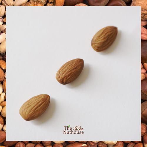 Jual Almond Whole Premium Roasted / Kacang Almond Panggang NPX 27/30 ...