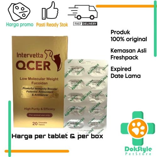 Jual Intervetta qcer obat tablet kanker tumor anjing kucing - per strip ...