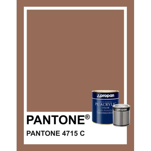 Jual CAT PROPAN PU ACRYLIC - PANTONE 4715 C - 5 LITER, SATIN - Jakarta ...