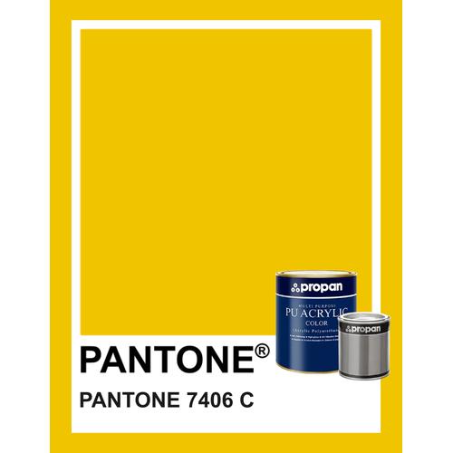 Jual CAT PROPAN PU ACRYLIC - PANTONE 7406 C - 5 LITER, DOF - Jakarta ...