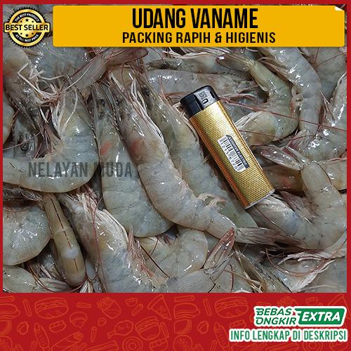 Jual udang vaname segar/Udang Tambak Fresh/Vannamei Udang Seafood ...