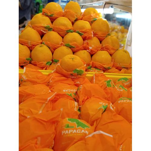 Jual buah jeruk kupas sumo dekopon spring korea citrus box - Jakarta ...