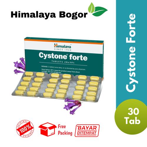 Jual Himalaya Cystone Forte Original, Peluruh Batu Ginjal, 1 strip 30 ...