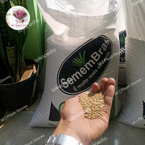 Jual Benih rumput (brachiaria decumbens) 25kg-benih rumput signal - Kab ...