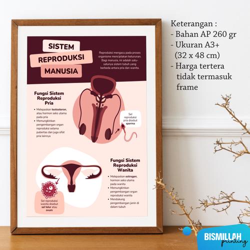 Jual Poster Fungsi Sistem Reproduksi Manusia - Kota Surabaya ...
