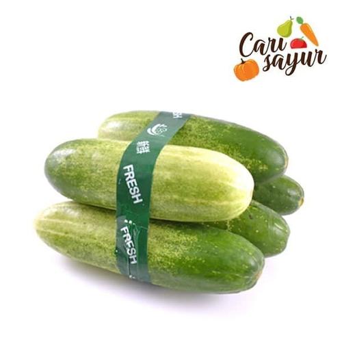 Jual Cari Sayur - Timun Acar - 250 gr - Kota Tangerang - CARISAYUR ...