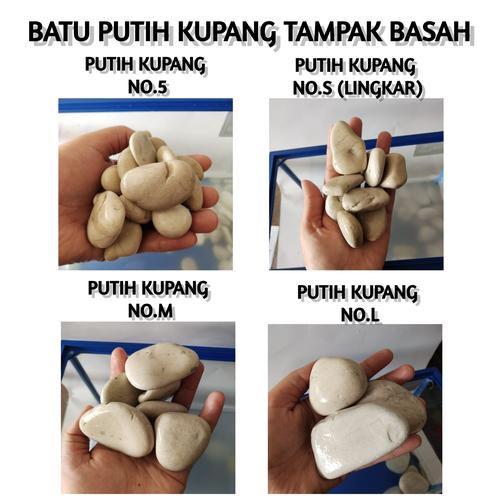 Jual Batu Koral Putih Kupang 20 kg Hias Taman Aquarium Aquascape Kolam ...