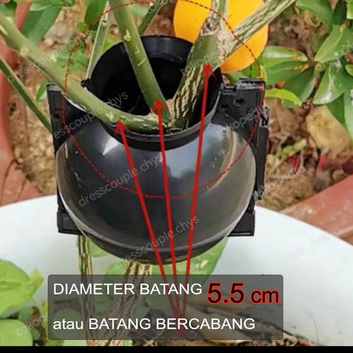Jual Alat cangkok 14 cm (XL) untuk batang besar - Bening - Kota ...