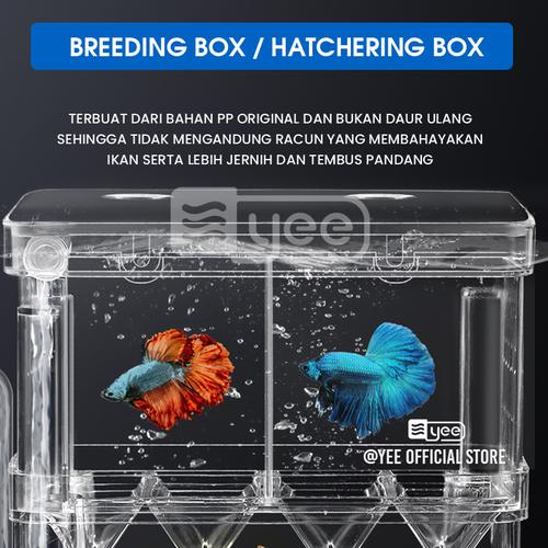 Jual Breeding Box for Guppy Molly / Isolation Box / Karantina Ikan ...