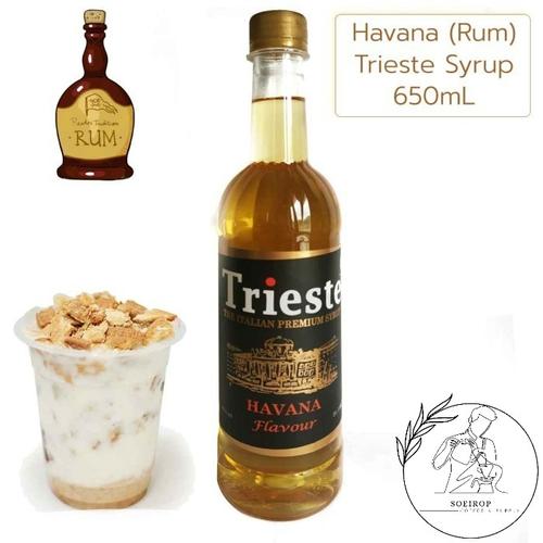 Jual 650mL Havanna Rum Trieste Syrup Sirup Kopi Coffee - Rum Havana ...