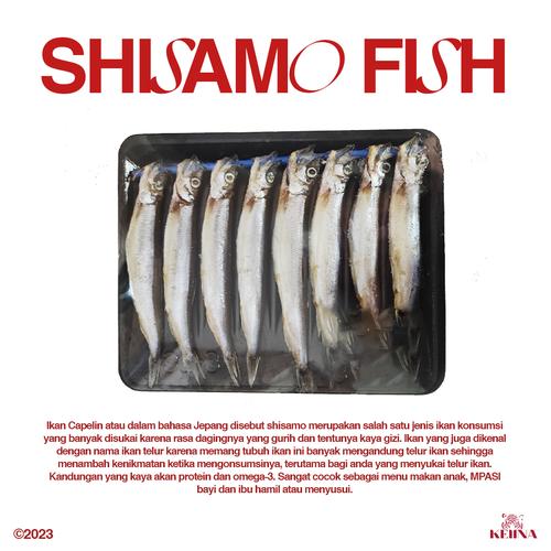Jual Ikan Shisamo Fish Capelin Premium Full Telur - Kota Surabaya ...