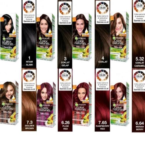 Jual P.Y Garnier Color Naturals ColorBoost Pewarna Rambut 1 Box - 4 ...